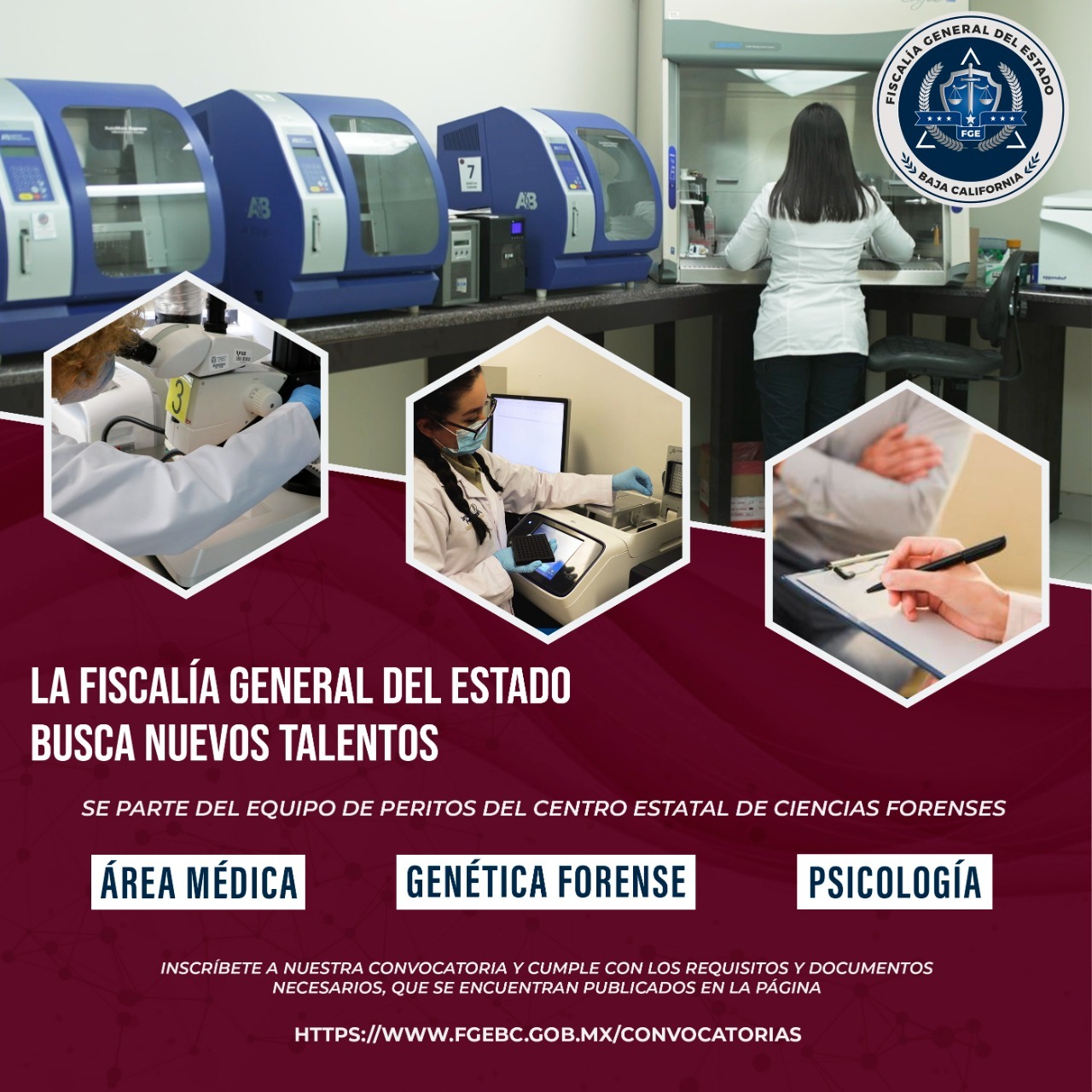 La FGE ofrece trabajo como perito en el área forense - KSDY Canal 50 ...