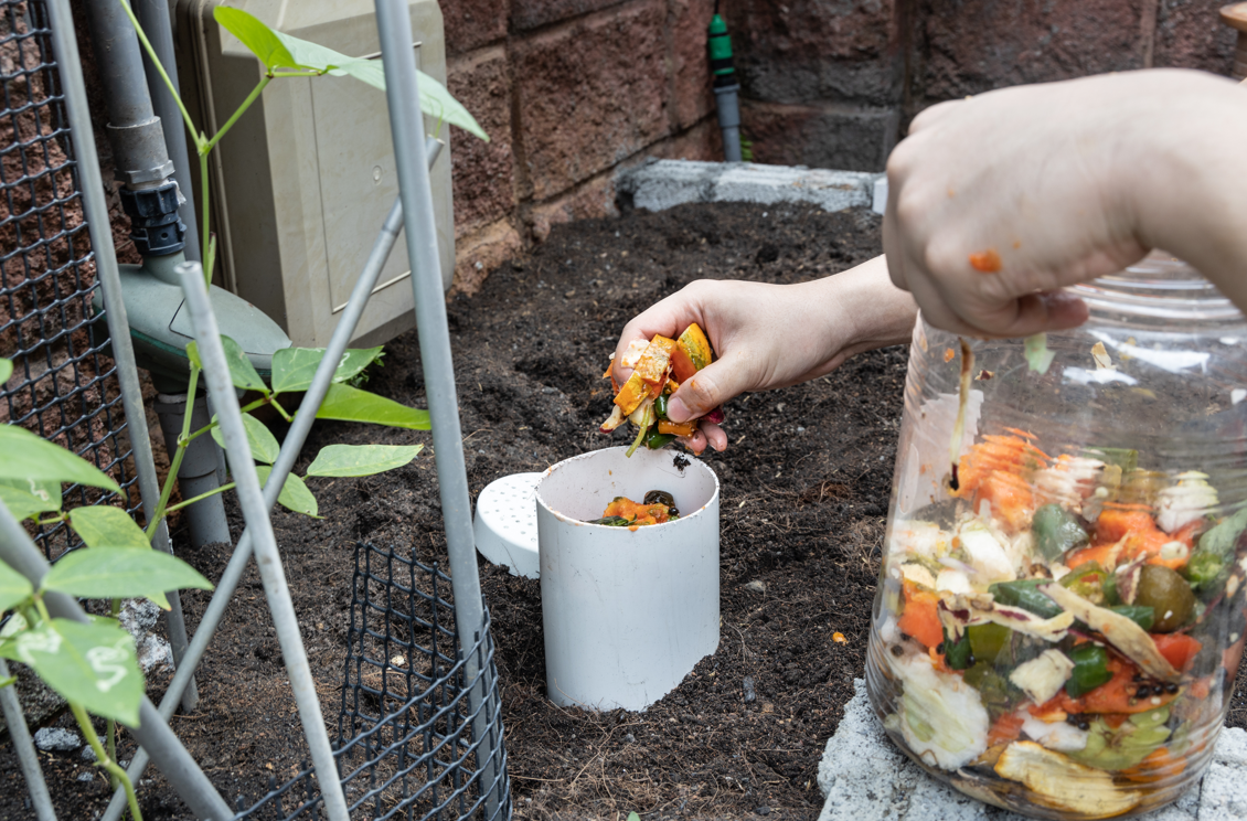 La Ciudad de Chula Vista invita a vecinos a aprender todo sobre ...
