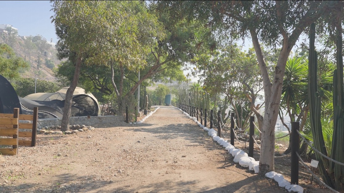 EcoParque celebra 32 años de ser un pulmón y oasis en Tijuana - KSDY ...